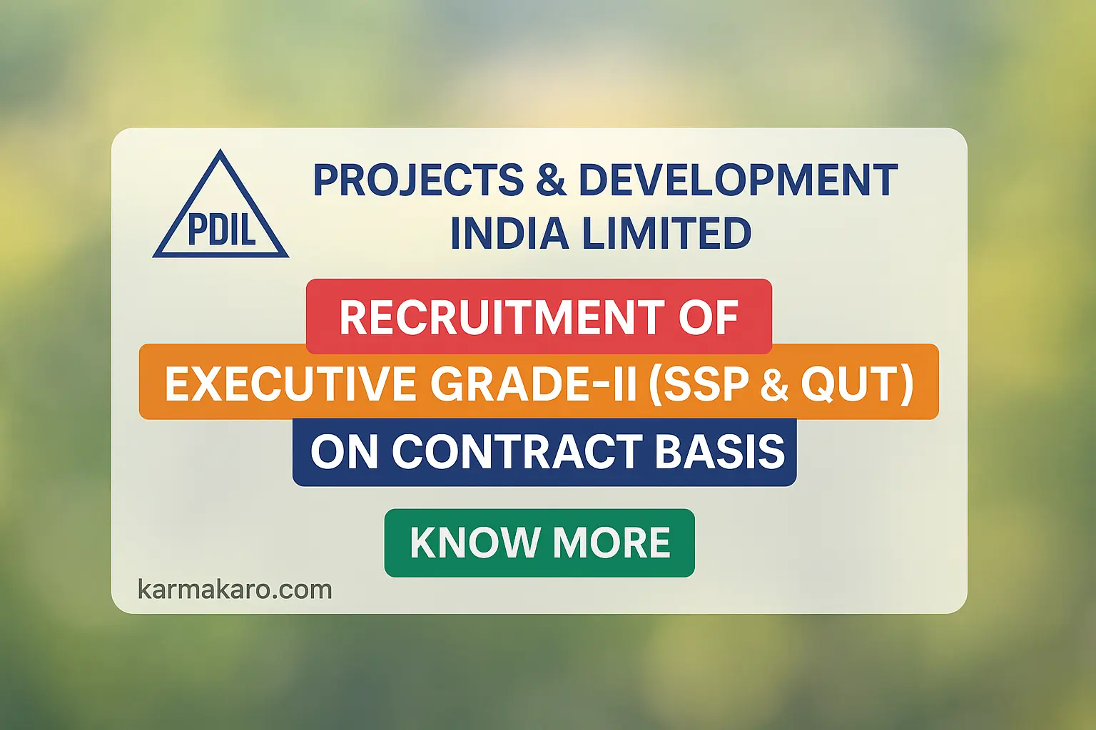 PDIL Recruitment 2025: Executive Gr-II (SSP & QC Audit) Posts